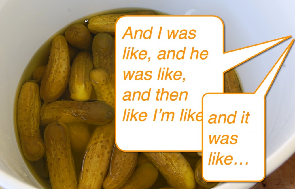 The million-dollar pickle story — Talking Shrimp